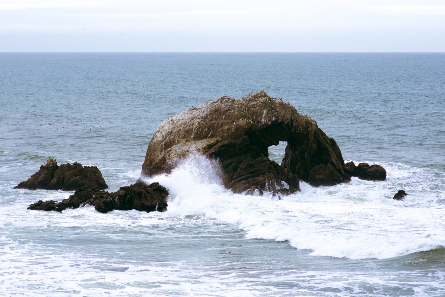 25 Inspiring Best & Beautiful Short Quotes About the Ocean