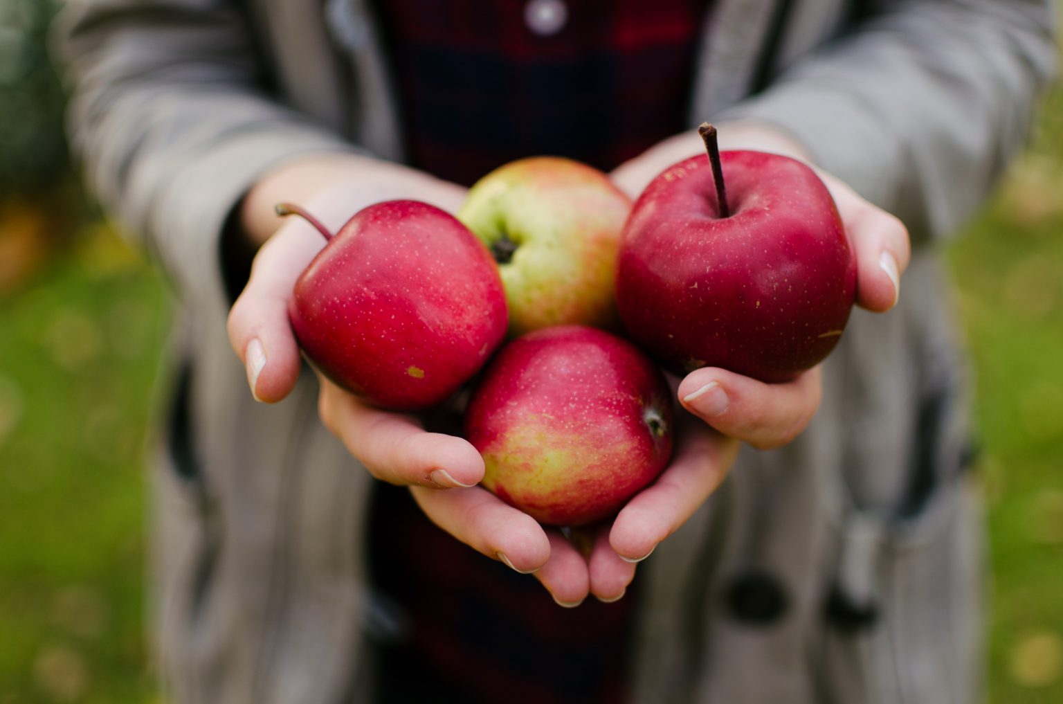 Apple Diet for Weight Loss - Plus 10 Top Diet and Health Tips