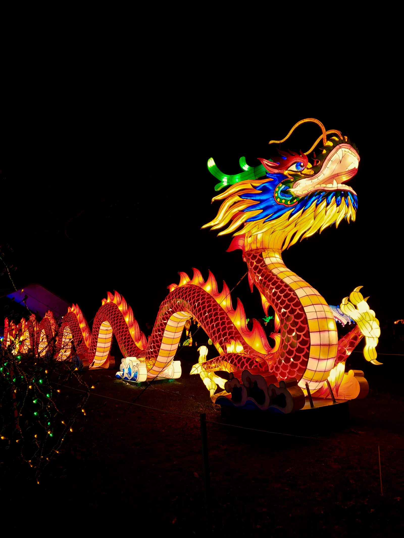 Chinese New Year 2023 - Brilliant Ways to Celebrate