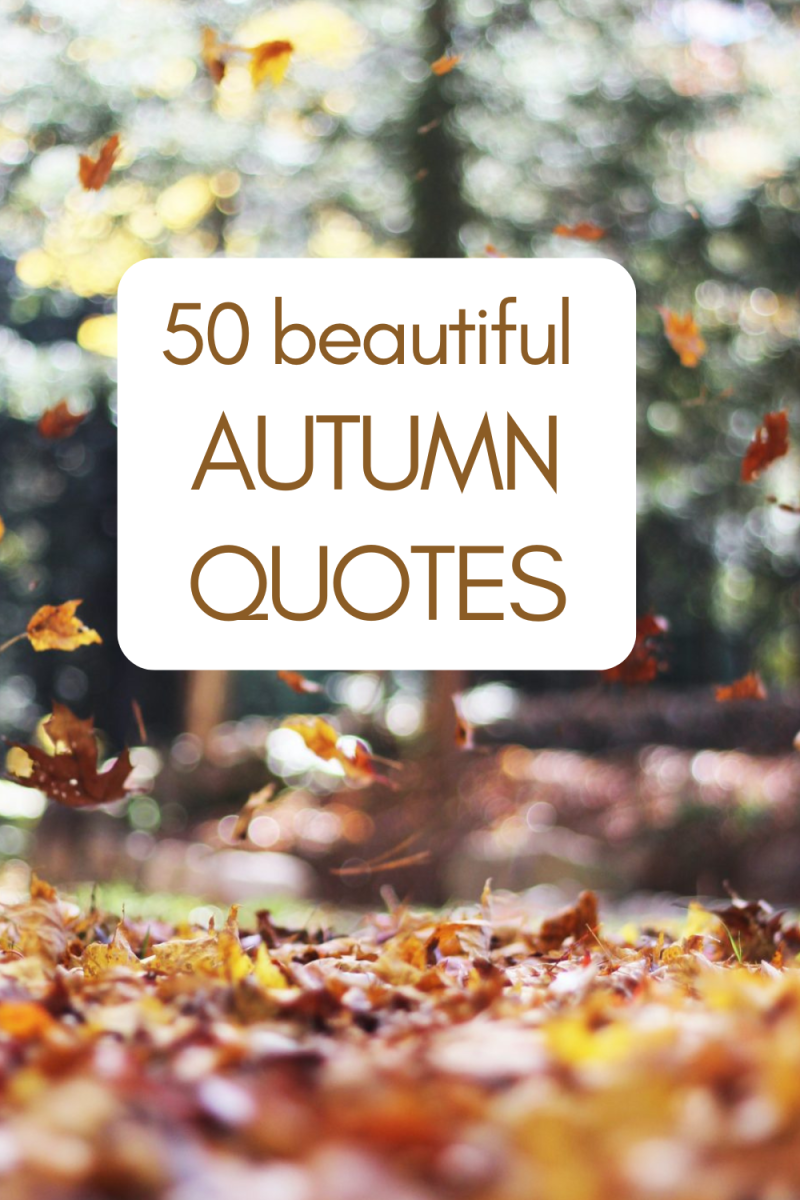 50 Lovely Autumn Quotes to Celebrate the Season