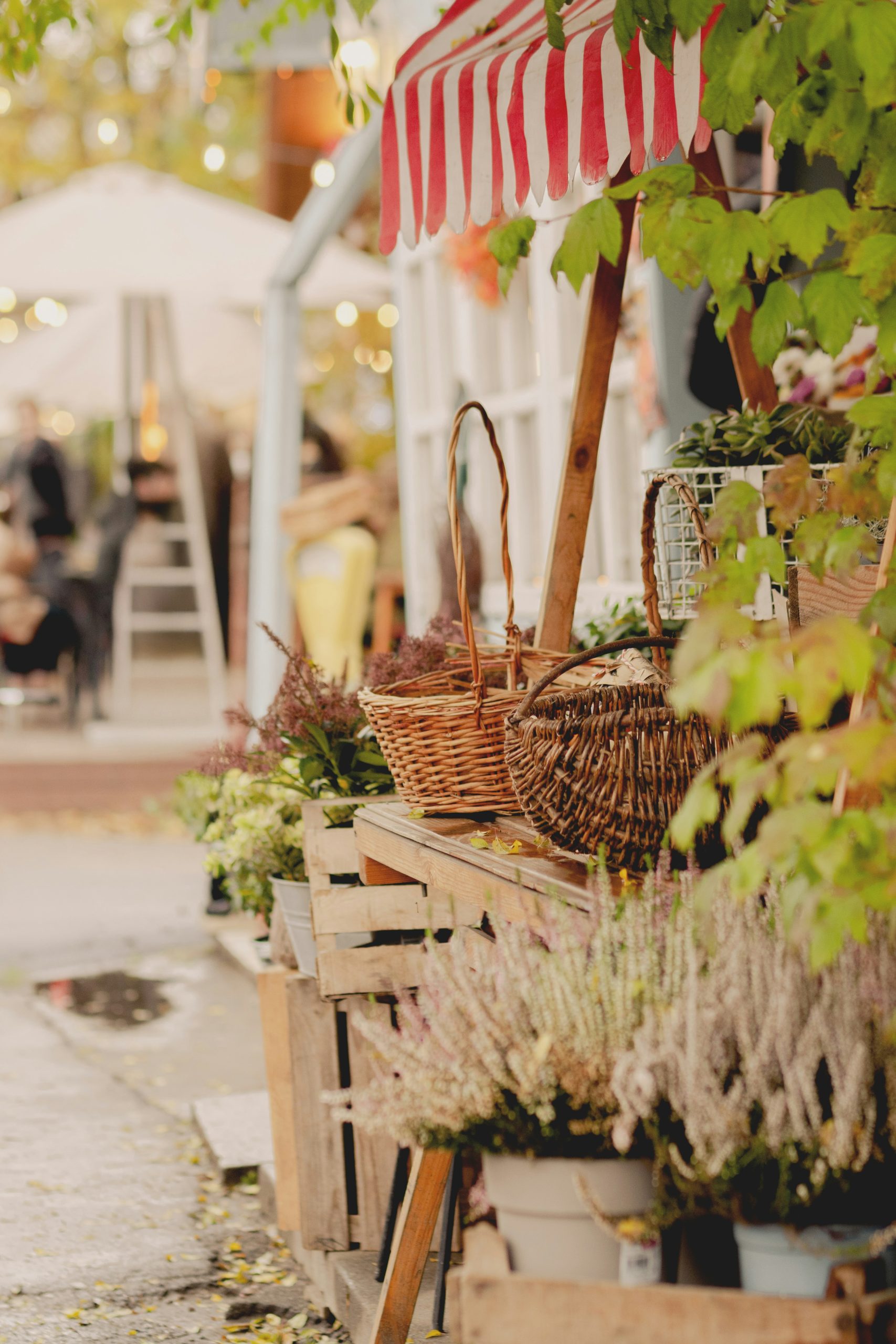 25 Best Burr Basket Ideas to Keep You Cozy All Winter Long