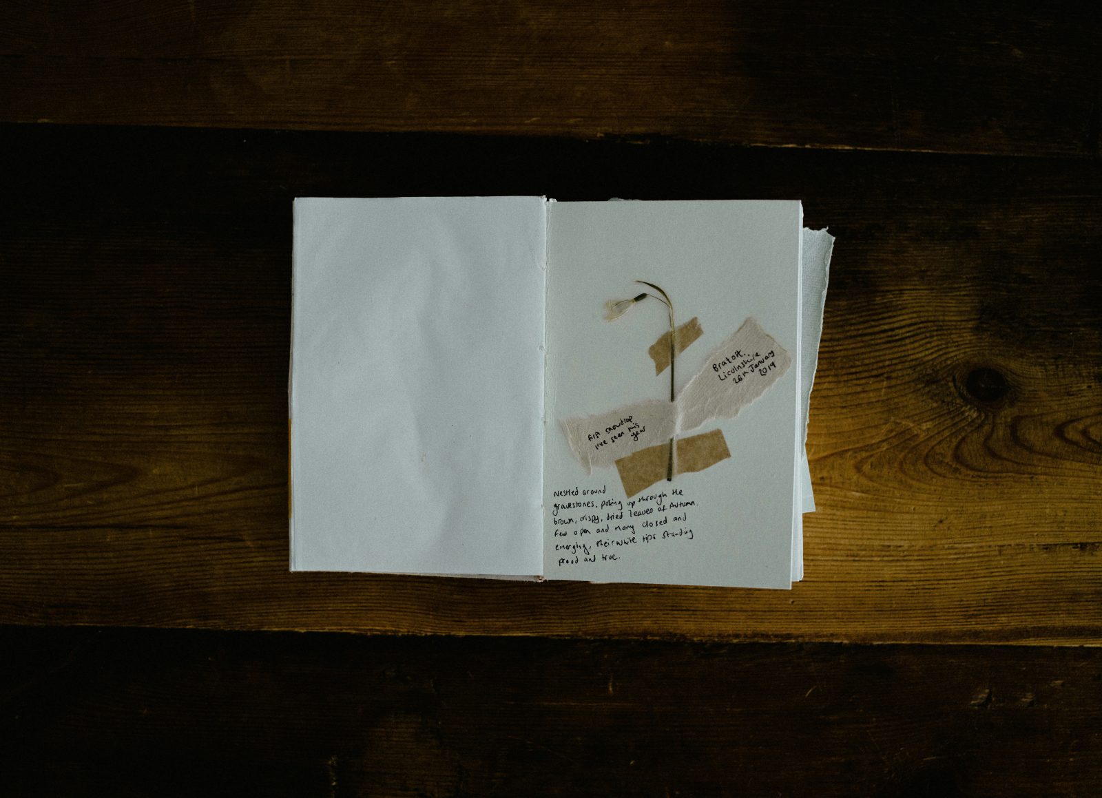 31 Junk Journal Prompts for March (Creative Spring Journaling)