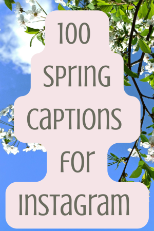 100 Gorgeous Spring Quotes & Captions for Instagram